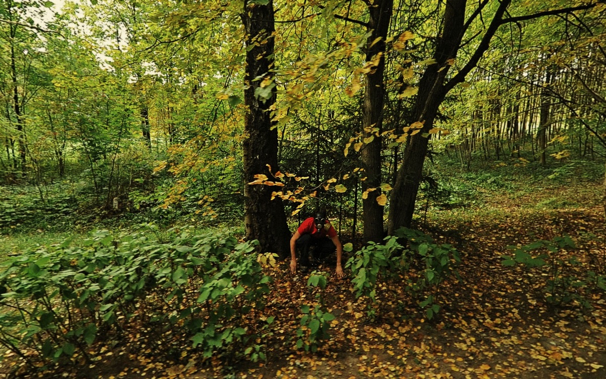 Life as Data - Kunstkritikk