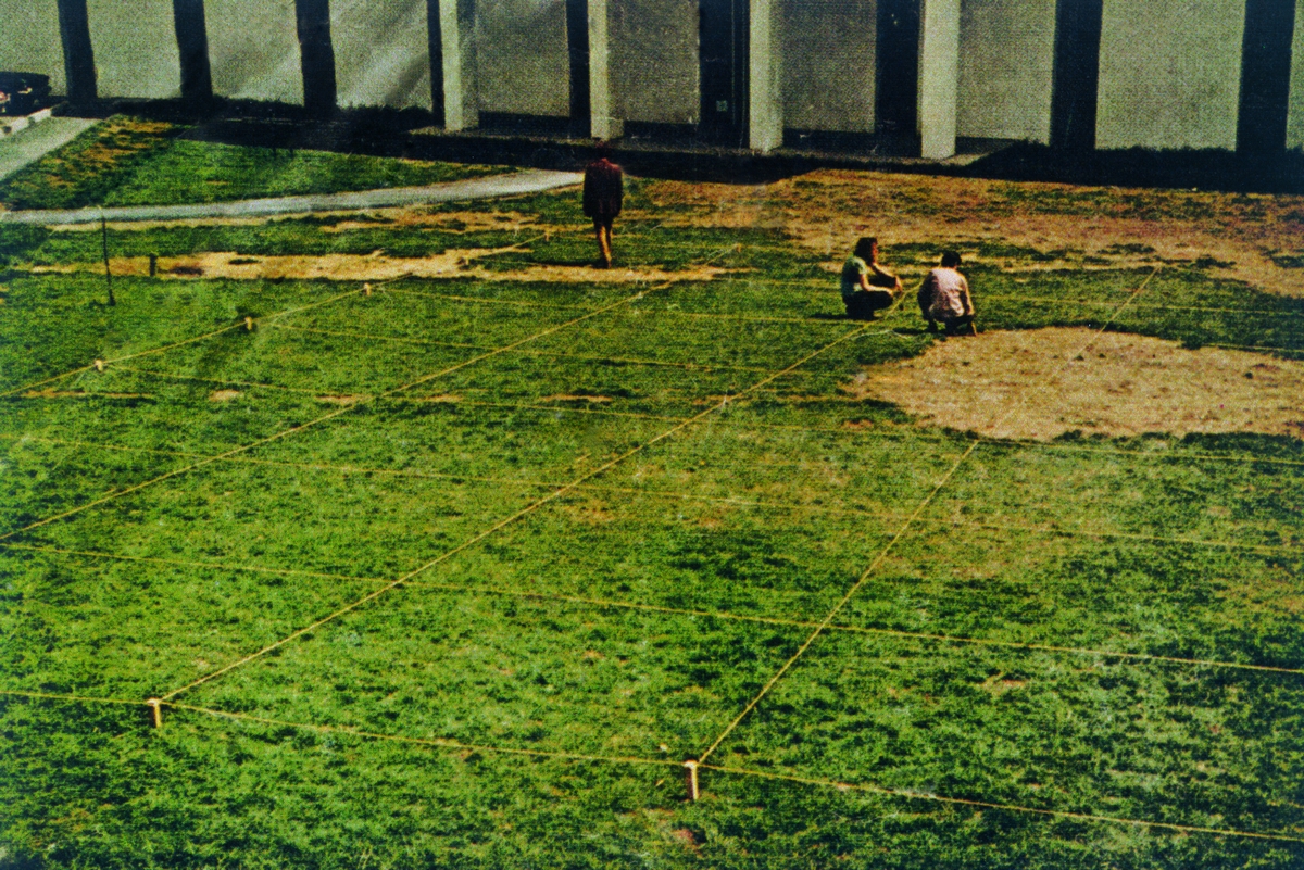 Interaktive materialer - Kunstkritikk