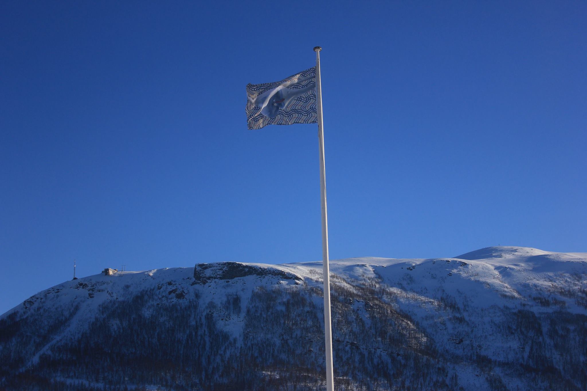 På rett kurs - Kunstkritikk