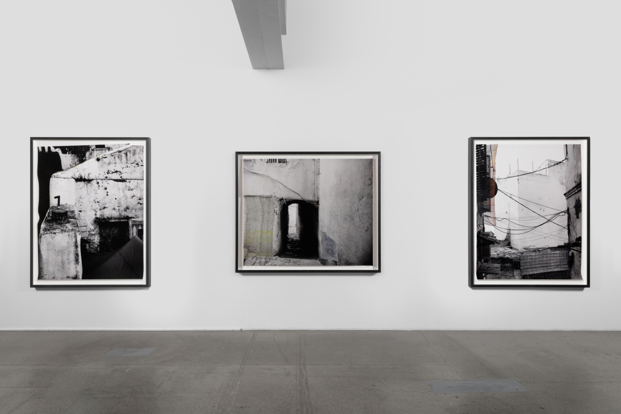 Lys fra flere soler - Kunstkritikk