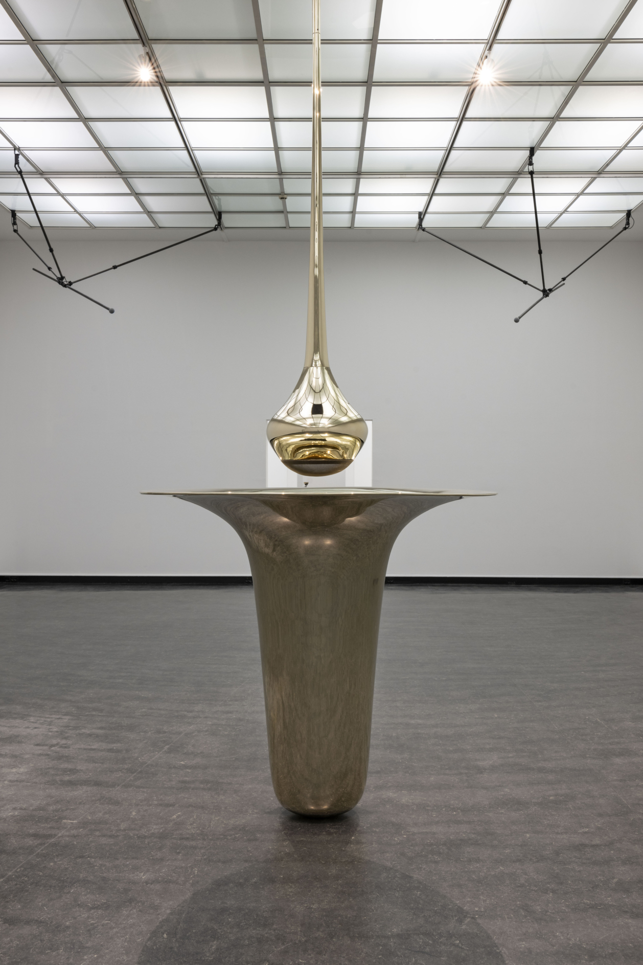 Lydens speilbilde - Kunstkritikk