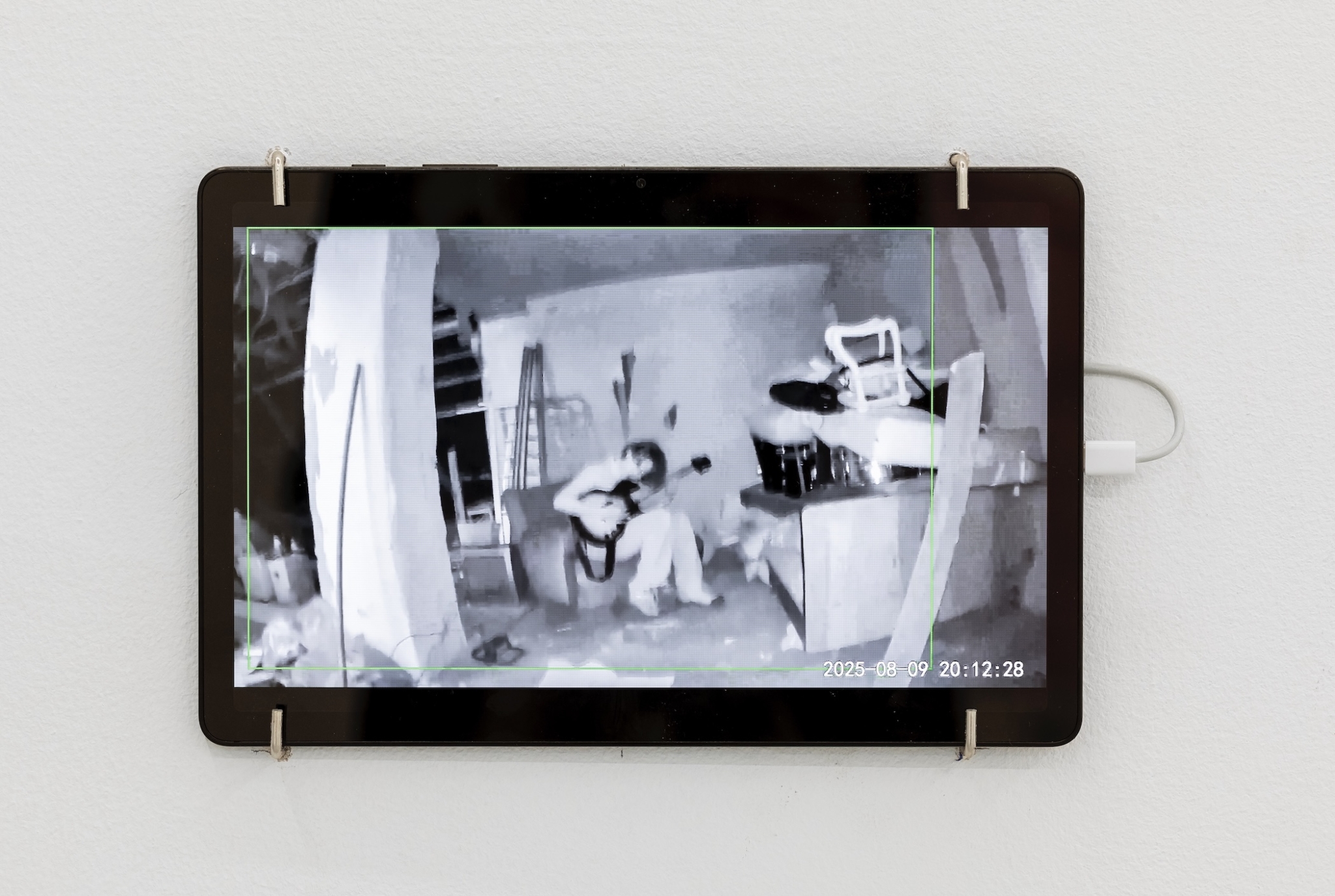 Institutionalised - Kunstkritikk